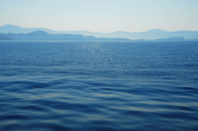 Can You Drink Seawater? The Process to Make It Potable